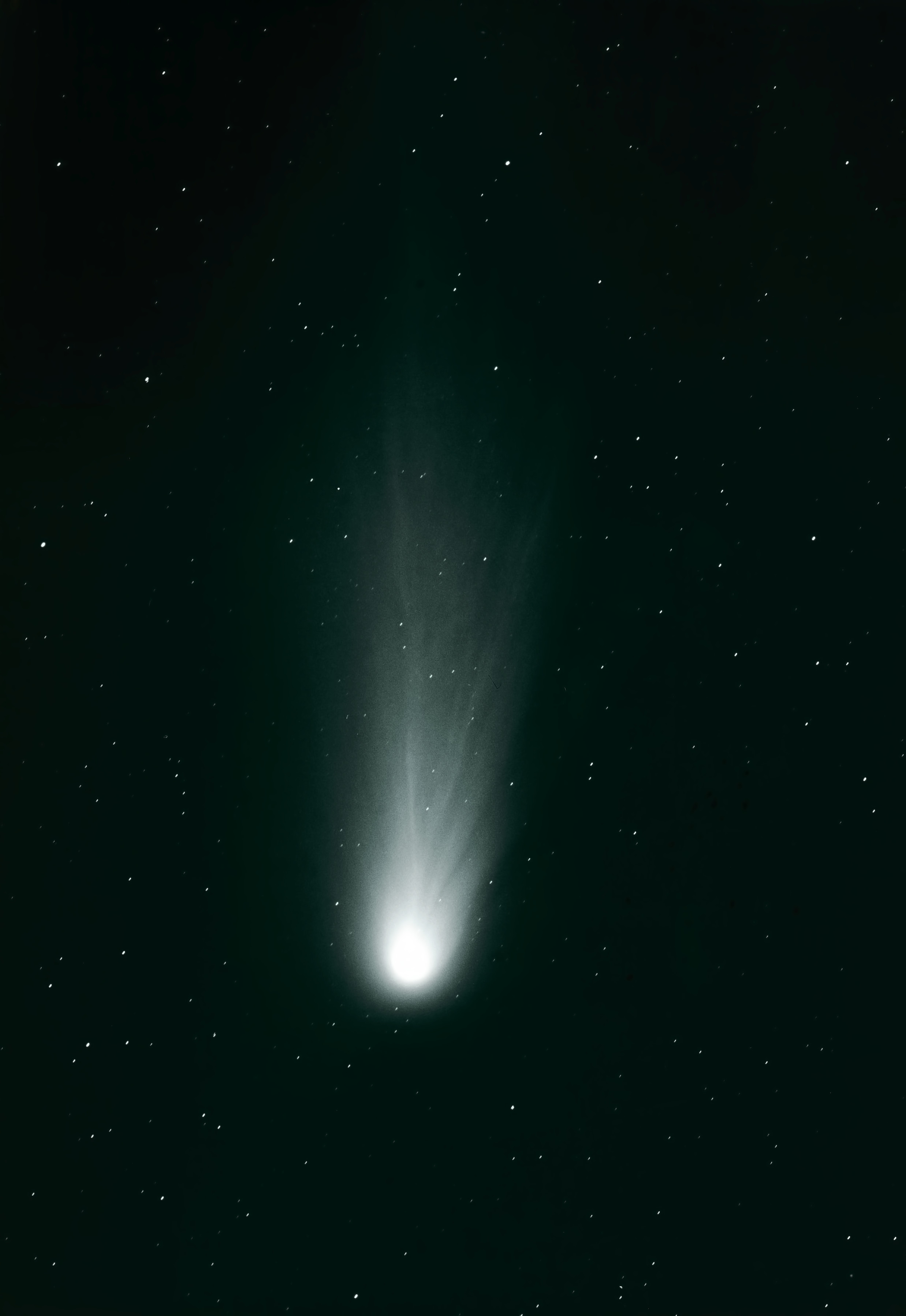 Halley's comet | ESO
