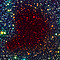 Bok globule B68 | ESO