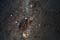 The Southern Cross | ESO