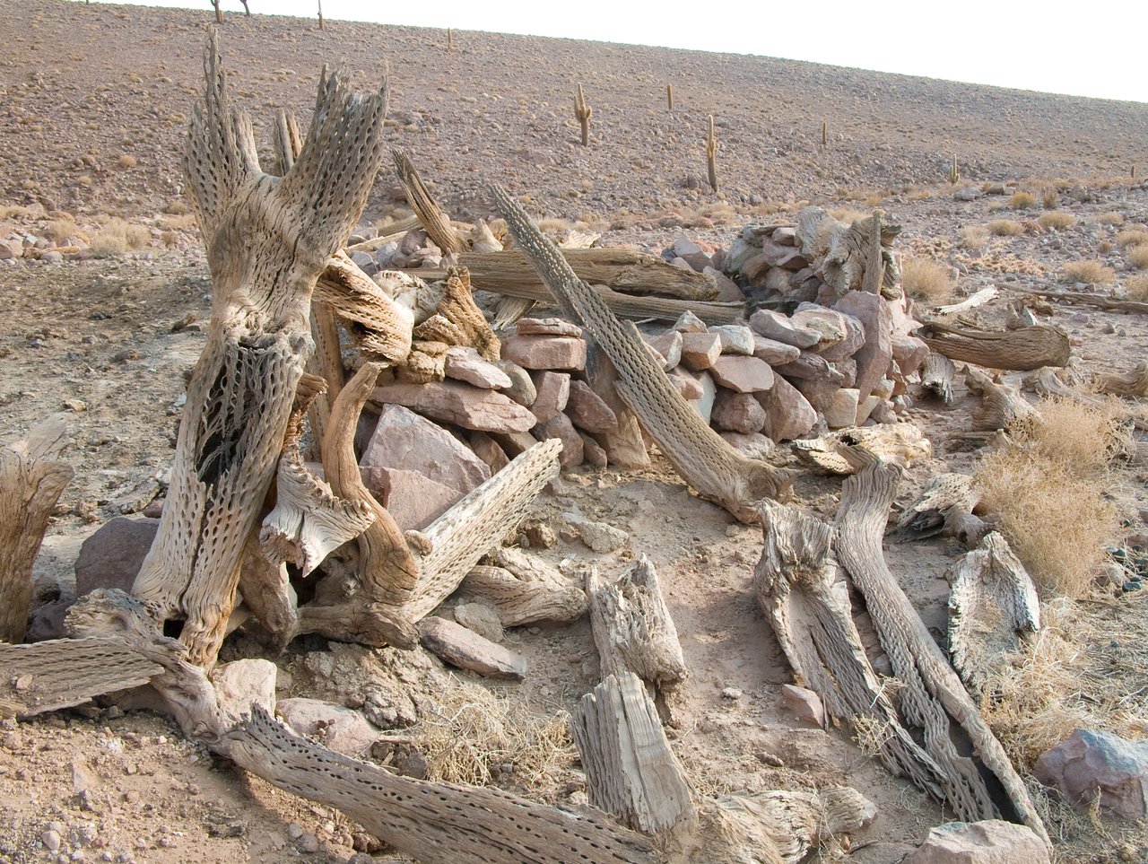 Archaeology in Atacama's Chilean desert | ESO Danmark