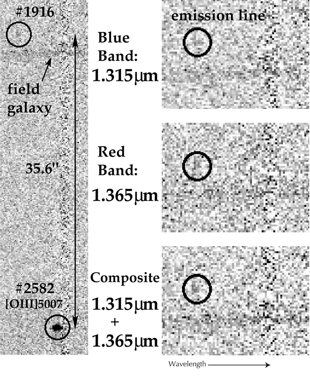 Two-dimensional spectra of Abell 1835 IR1936 | ESO Belgique