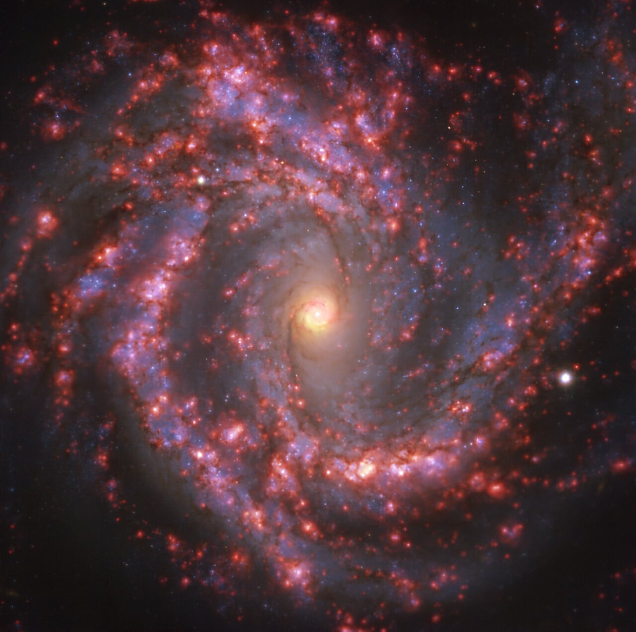Warm gas clouds and stars in NGC 4303 mapped with MUSE on ESO’s VLT ...