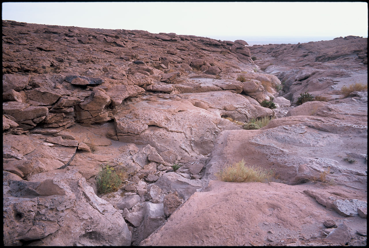 Quebrada cross track | ESO España