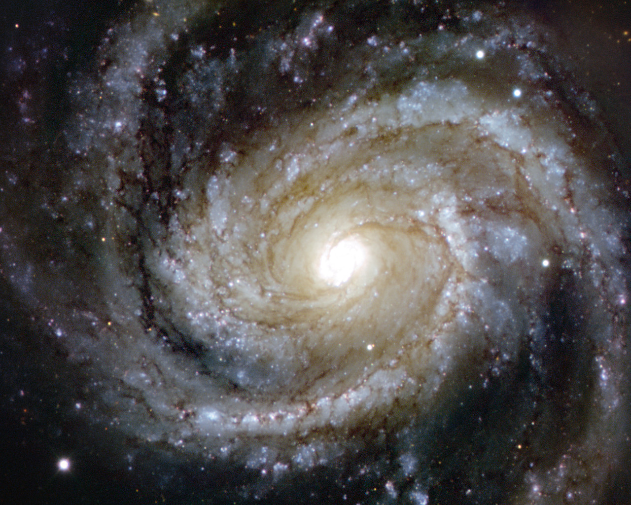 Messier 100 — grand design splendour | ESO