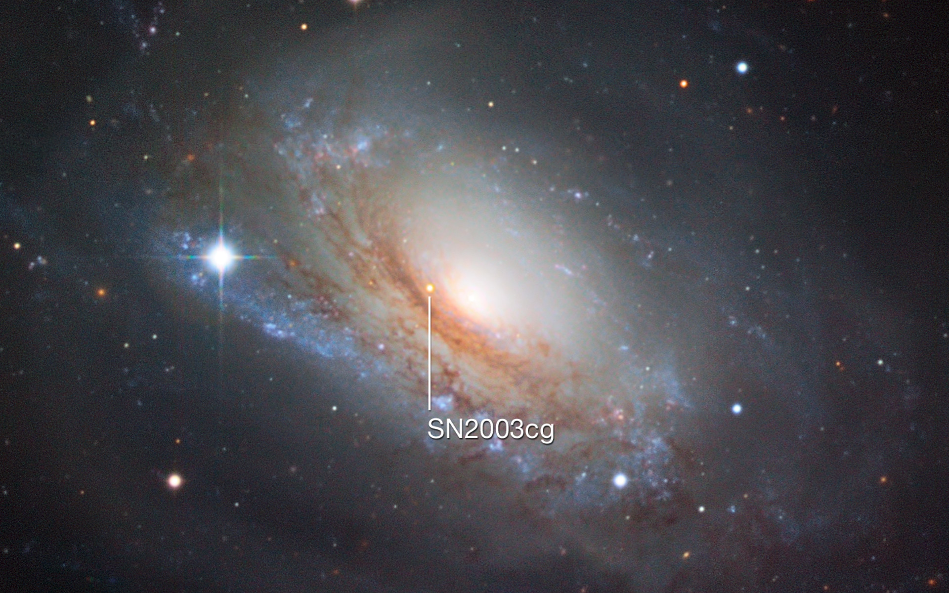 Supernova 2003cg in the galaxy NGC 3169 | ESO