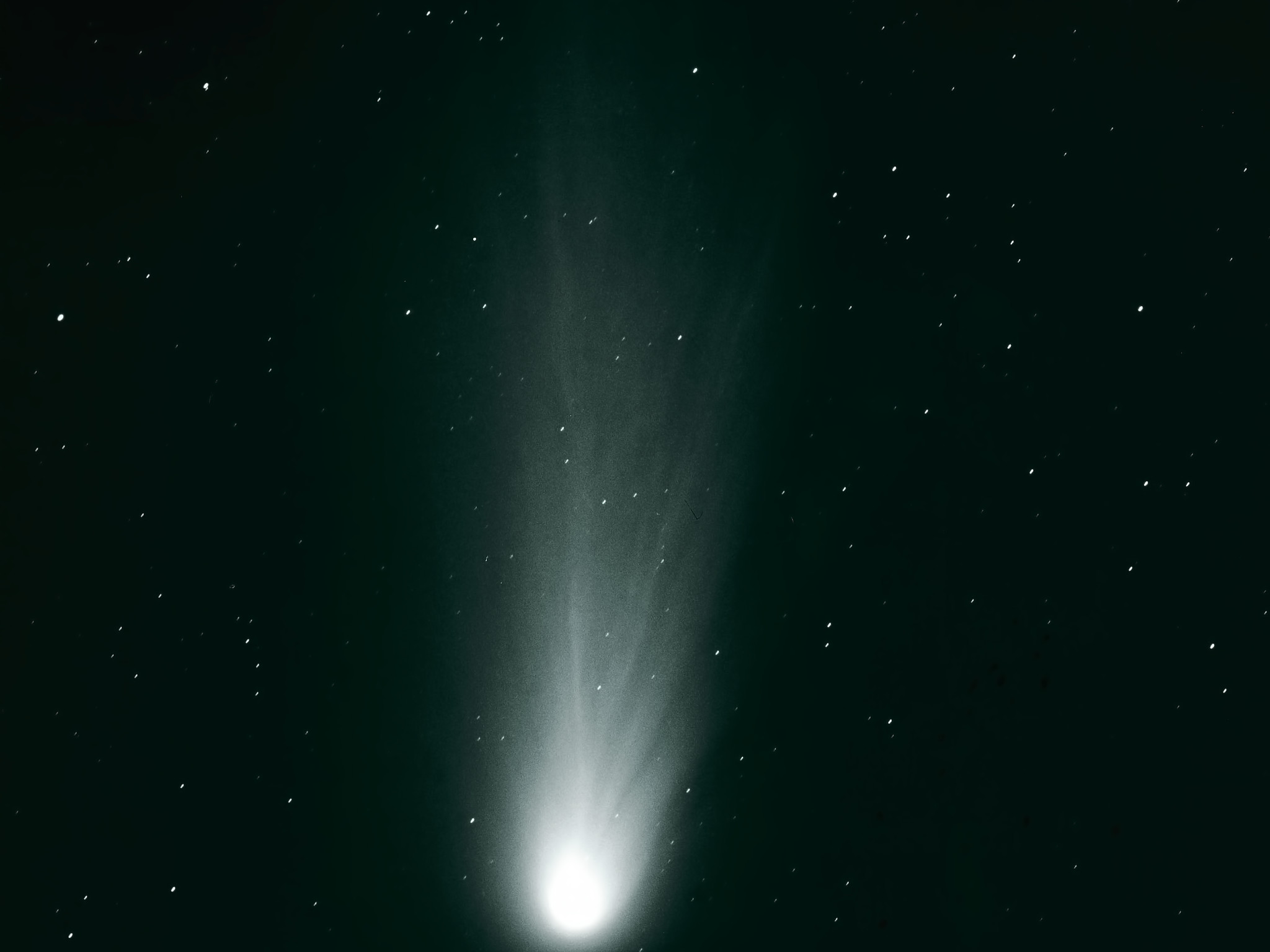 Halley's comet | ESO