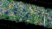 3D Map of Distant Galaxies Completed | ESO